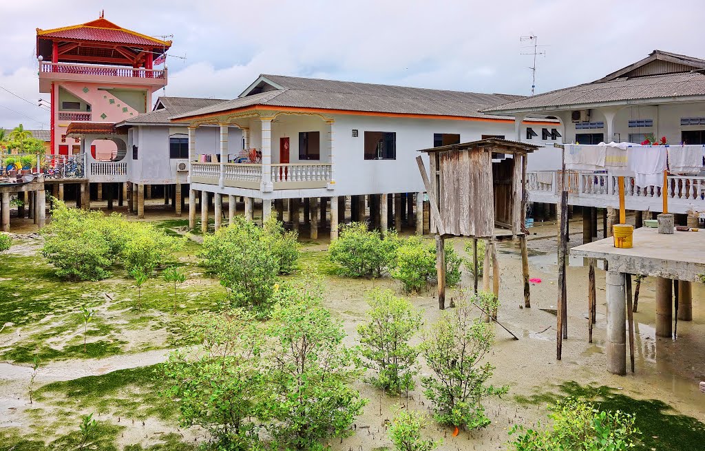 Cool Things to Do in Kukup Laut - Goasiaplus